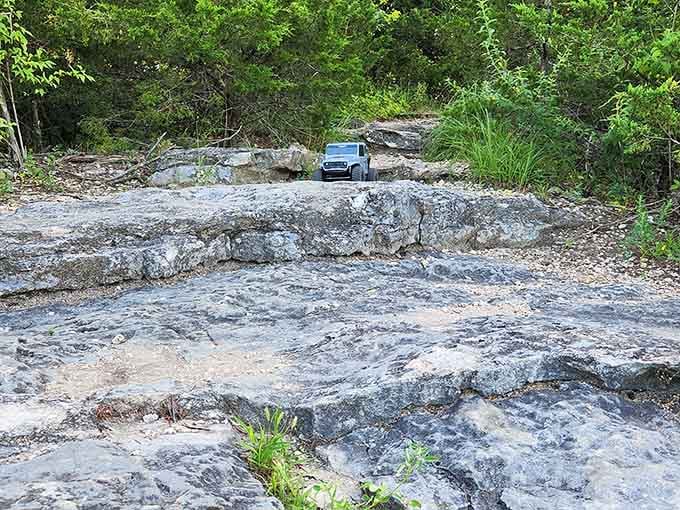 Someone's toy car found the perfect parking spot on ancient limestone, a meeting of eras if ever there was one.