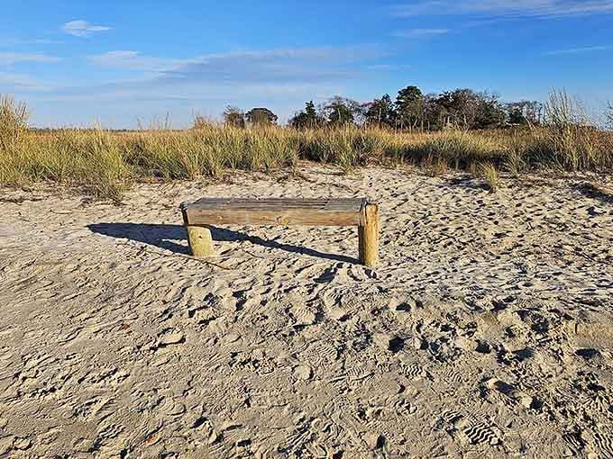 That weathered bench has seen more peaceful sunsets than most people experience in a lifetime of vacations.