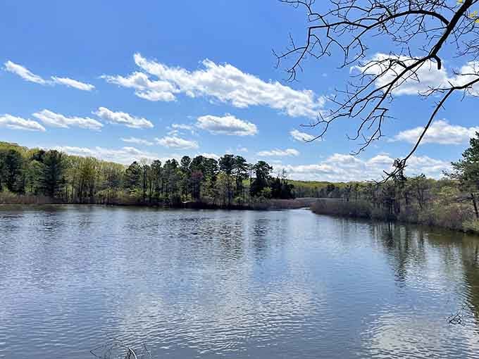 Hooks Creek Lake in spring, calm and quietly beautiful, like the park is taking a slow, deep breath.