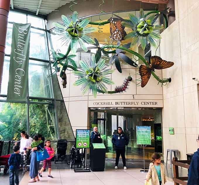 The entrance promises adventure, with those oversized butterfly sculptures setting expectations higher than a caterpillar's dreams of flying someday.