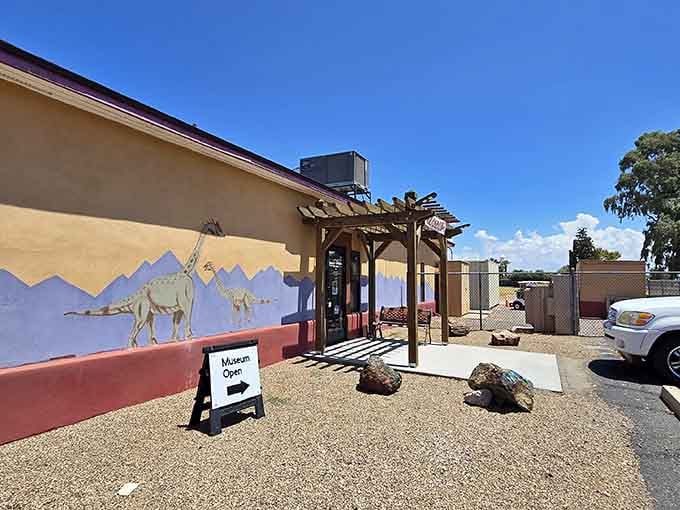 Local museums preserve the stories that make a place special. History lives here, not just in textbooks but in artifacts.