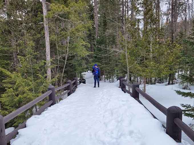 Snow-covered bridges and frosted pines prove that Copper Falls State Park doesn't take winters off.