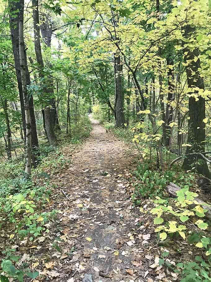 A trail this peaceful shouldn't be this close to civilization. Hudson, Massachusetts is full of pleasant surprises.