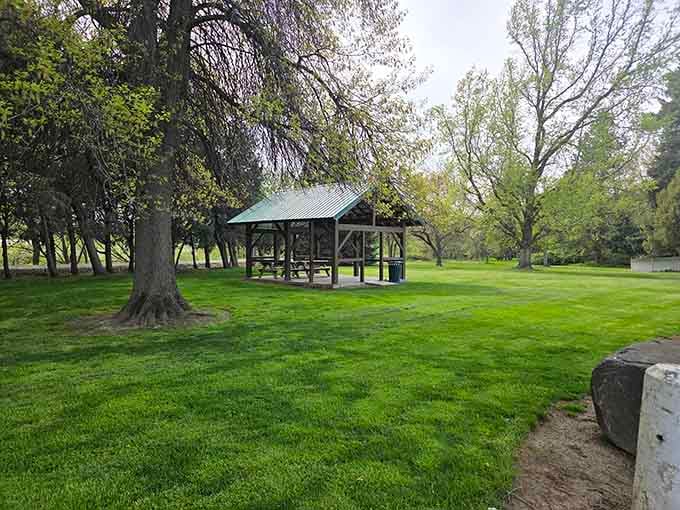 Green spaces perfect for picnics, contemplation, or pretending you're going to start exercising regularly this time.