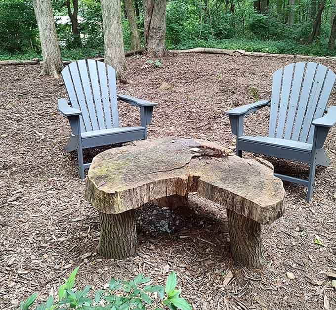 Two Adirondack chairs and a tree stump table. The forest built its own living room, and it's lovely.