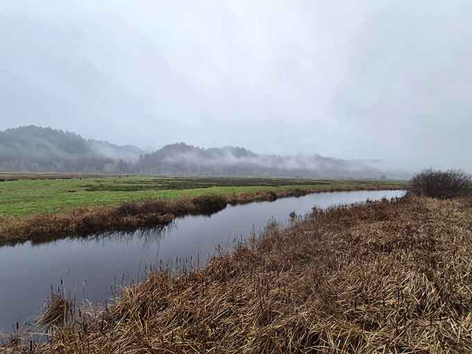 On a misty Oregon morning, Dean Creek looks like a painting someone forgot to finish, beautifully.