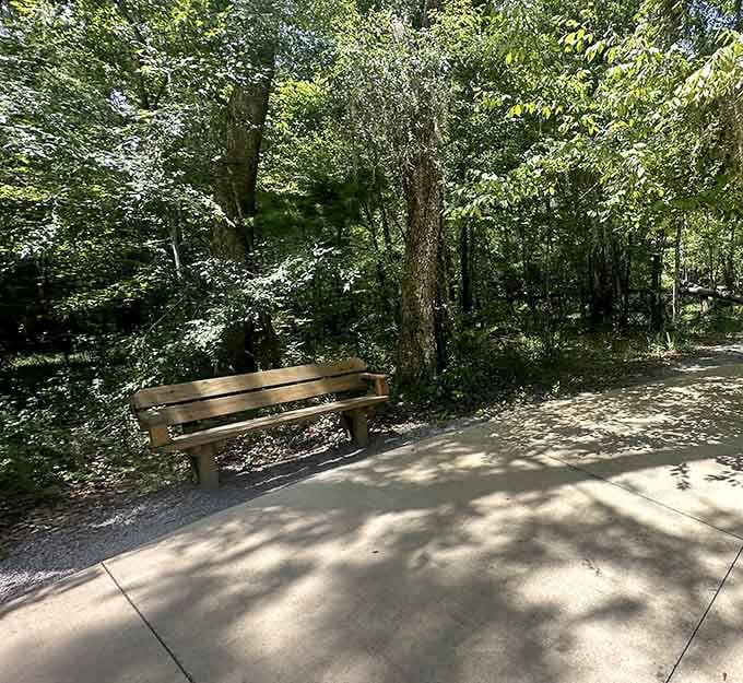 A quiet bench along the trail reminds you that sometimes the best thing to do is simply sit.