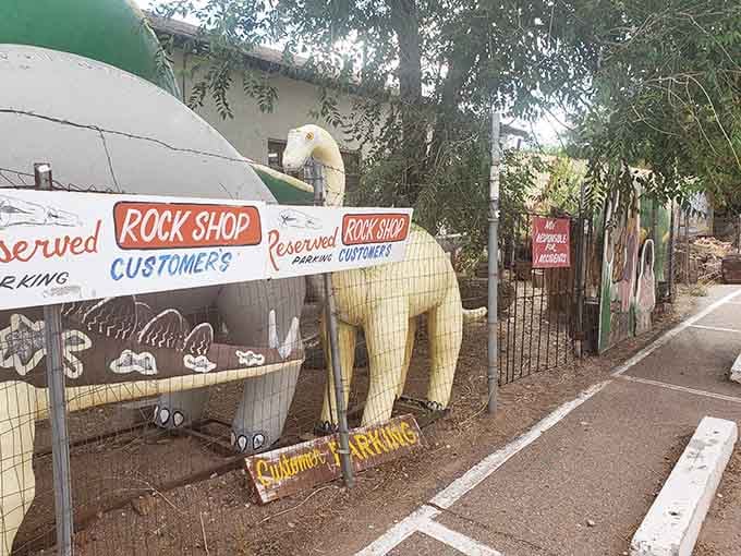 Reserved parking for rock shop customers, enforced by dinosaurs who take their job very seriously.