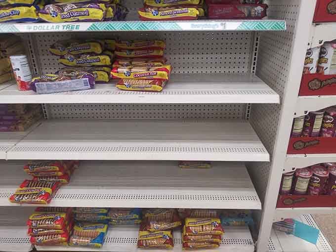 Iced oatmeal cookies and coconut bars sitting on the shelf, quietly reminding you that classic snacks never really go out of style.