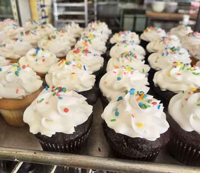Rows of frosted cupcakes fresh from the Dom Bakeries kitchen, each one topped like a tiny celebration.