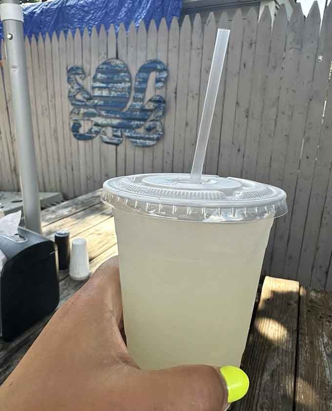Cold lemonade, warm sunshine, and a nautical fence behind you. Some afternoons just get everything right.