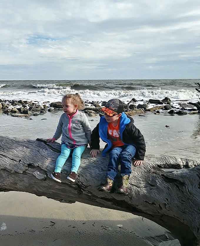 Two little explorers discovering that the best playground was here in Georgia all along.