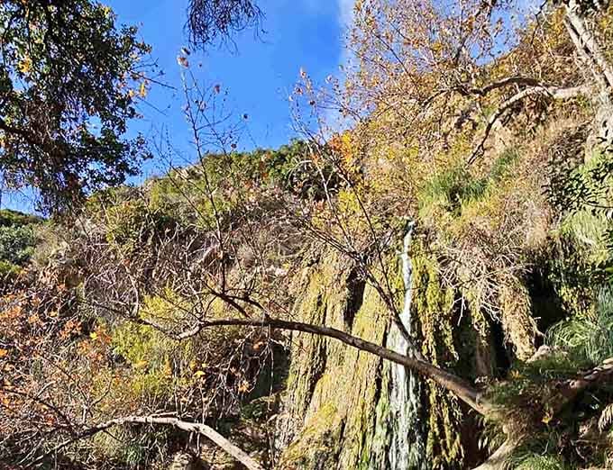 Even in autumn, the falls whisper through bare branches and golden leaves with quiet, persistent charm.