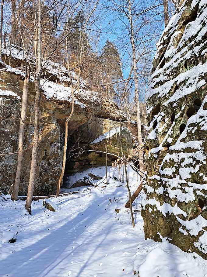 Snow-dusted sandstone bluffs in winter look like a painting someone forgot to hang in a museum.