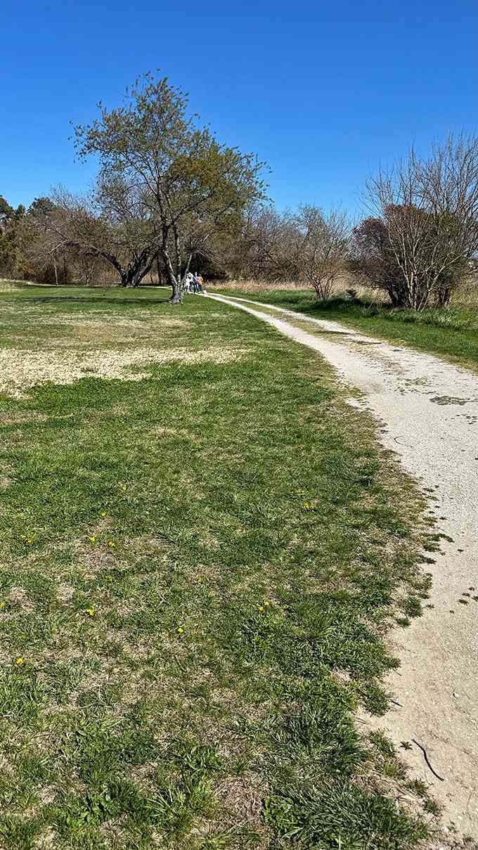 A gravel path curving toward the water, proof that the best adventures don't always require a complicated itinerary or good shoes.