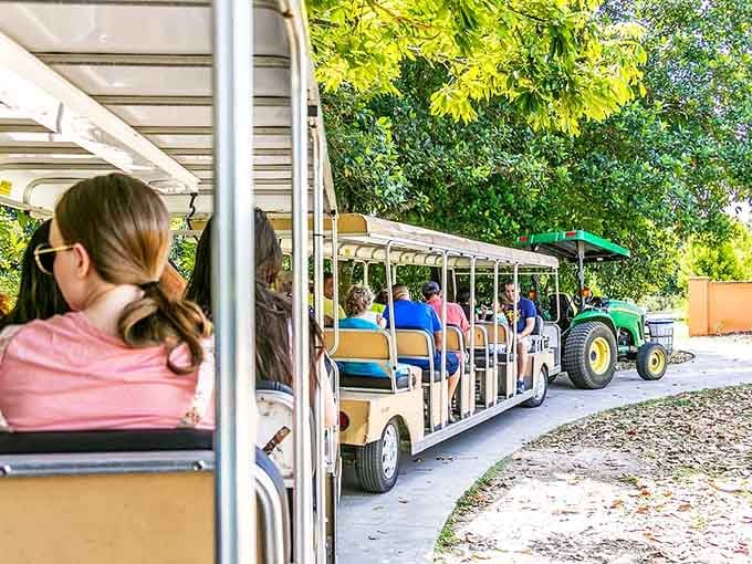 The tram tour rolls through 37 acres of tropical wonder, doing all the walking so your legs don't have to.
