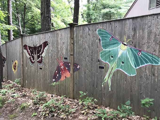 Giant moth and luna moth murals painted on a wooden fence, because even the fences here have something interesting to say.