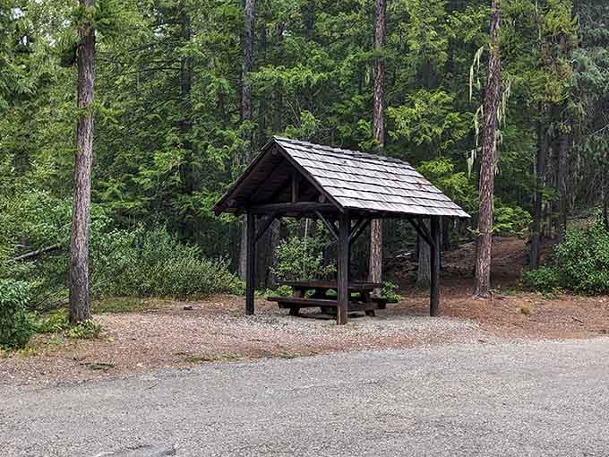 The park's covered picnic shelter sits quietly among the pines, waiting for your post-cave sandwich moment.