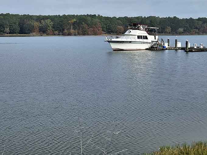 That white cruiser docked on Lake Eufaula looks like it has absolutely nowhere to be, and that's the whole idea.
