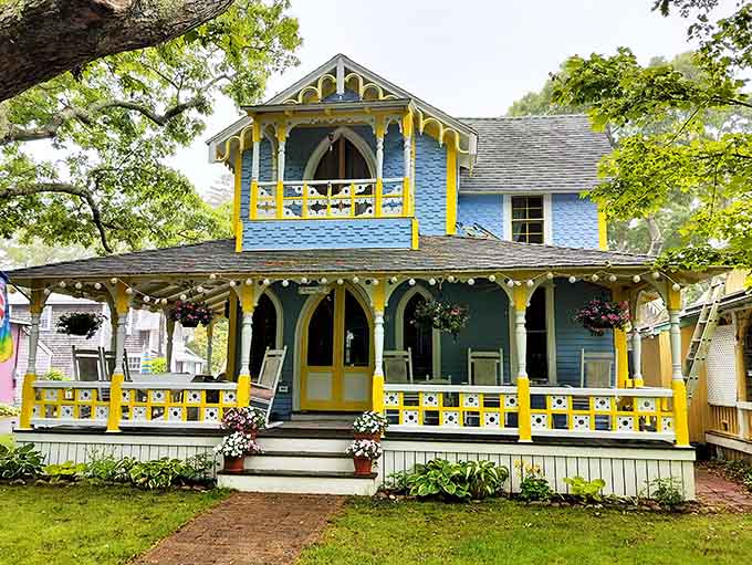 Blue and yellow together shouldn't work this well, yet here we are, completely won over.