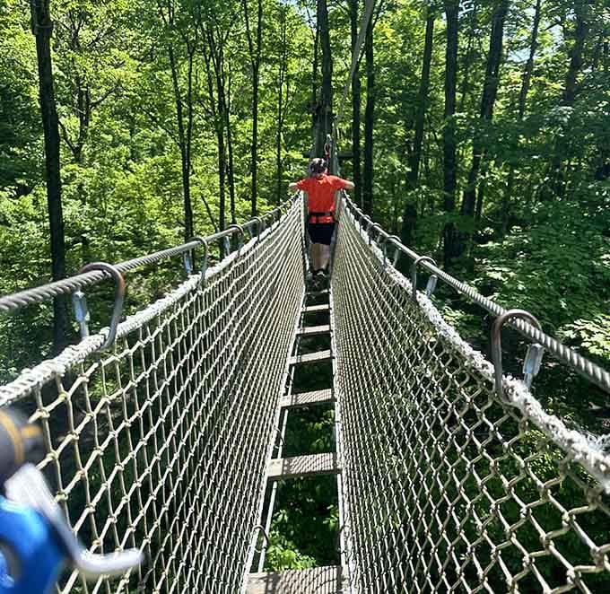 One person, one suspended bridge, and a whole lot of gorgeous Indiana forest stretching out ahead.
