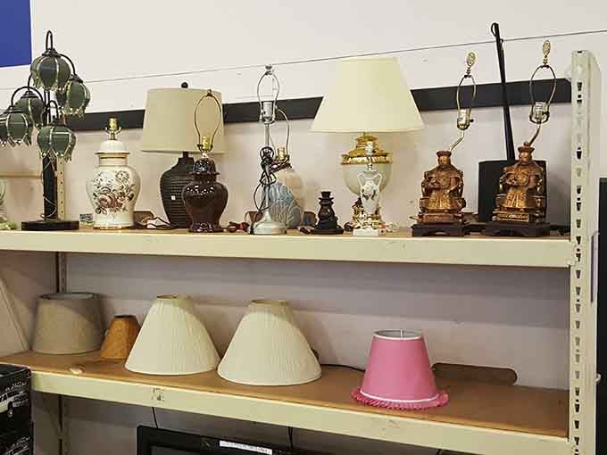 Lamps of every shape and personality, proof that good lighting doesn't have to cost a fortune.
