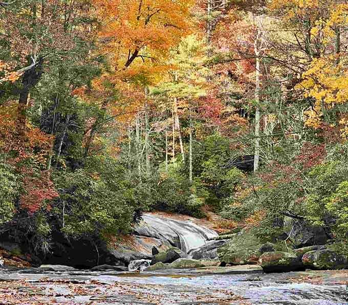 Fall at Gorges is like someone turned up the color saturation on the entire forest and forgot to turn it back down.
