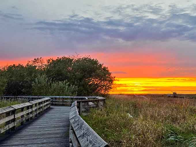 Sunset at the refuge paints the sky in colors that make your phone's camera weep with inadequacy and shame.