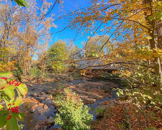 Fall foliage frames Wickecheoke Creek in gold and red, turning this scene into something almost too beautiful to believe is real.