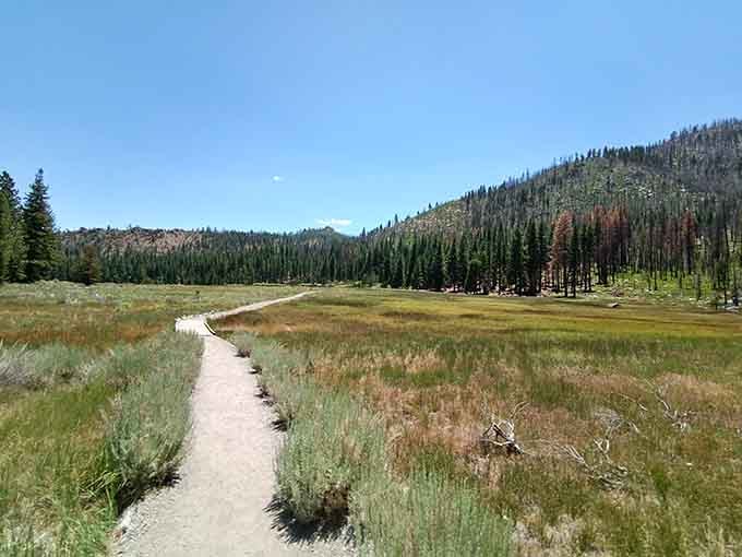 Follow this trail through meadows where wildflowers bloom like nature decided to throw a color party.