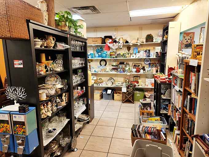 Shelves packed with collectibles, ceramics, and curiosities stretch down this aisle like a very rewarding rabbit hole.