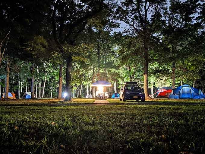 Tents glowing under tall trees at night, because sometimes the best hotel in New York has no roof and no minibar.