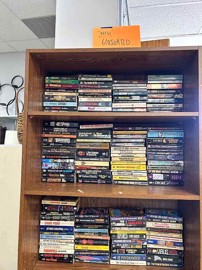 Freshly donated paperbacks marked "New Unsorted" sit stacked three rows deep, including Stephen King and Roger Zelazny practically shoulder to shoulder.