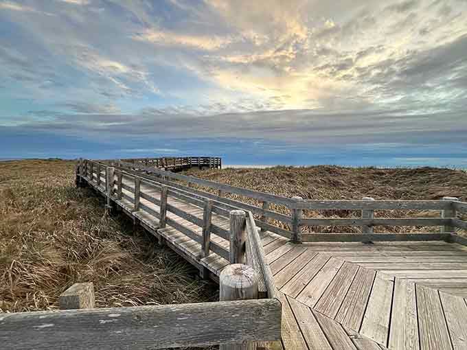 This weathered boardwalk leads straight to the kind of view that makes every step completely worth it.