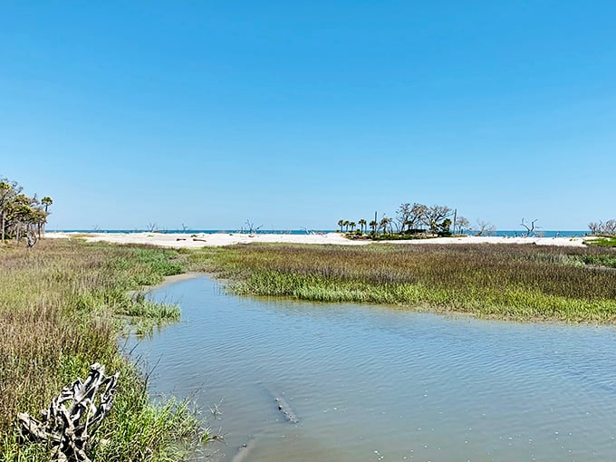 The marsh side offers a completely different vibe: calm waters, abundant wildlife, and the kind of peace money can't buy.
