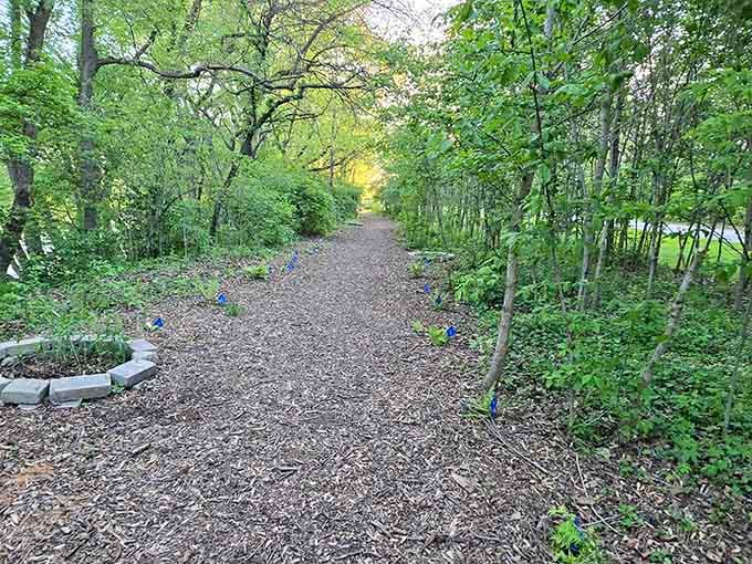 A mulched path lined with small blue markers, proof that someone here really cares about the details.
