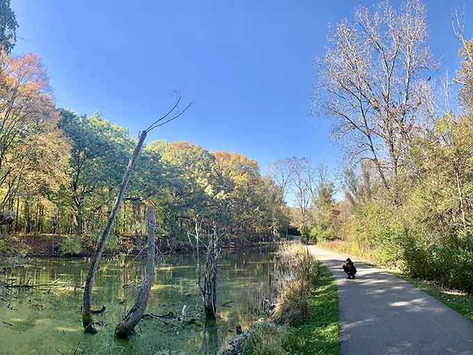 Peaceful walking trails wind through the park, offering parents a moment of zen between playground sessions.