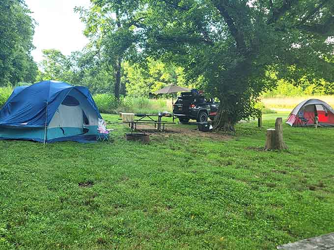 Tents pitched, trees overhead, river nearby. This is what a good weekend actually looks like, folks.