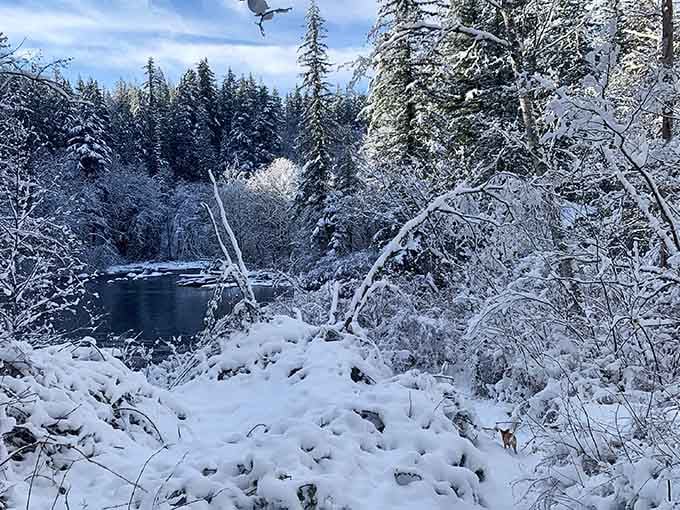 Winter turns Kanaskat-Palmer into a snow-draped wonderland that would make even the most dedicated couch enthusiast reconsider their choices.