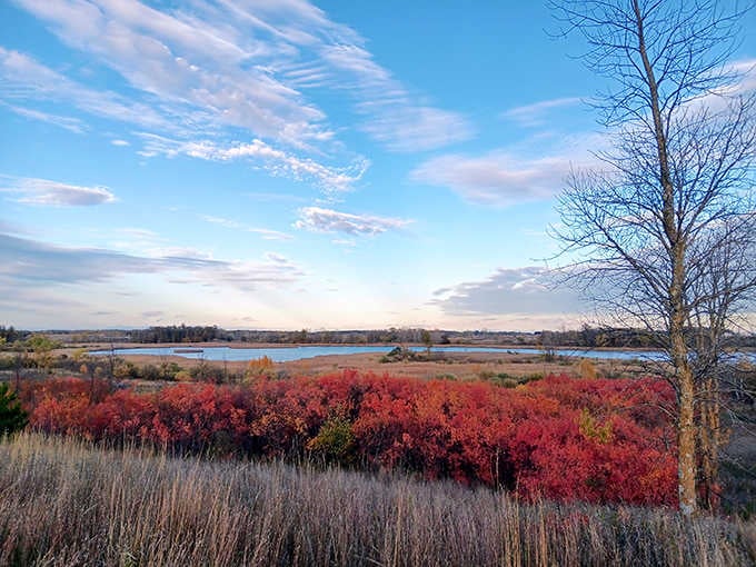 Red sumac, open water, and a sky that looks painted, central Minnesota is not playing around here.
