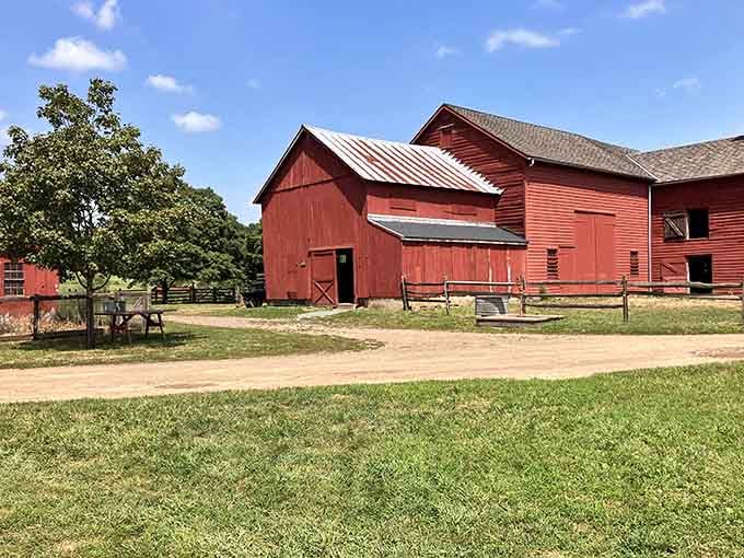 Red barns, open skies, and honest farmland remind you that New Jersey's countryside is genuinely, stubbornly beautiful.