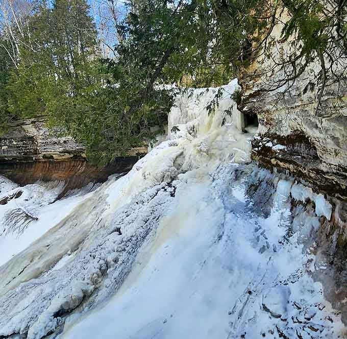 Winter transforms the falls into a frozen sculpture that would make any art museum genuinely jealous.