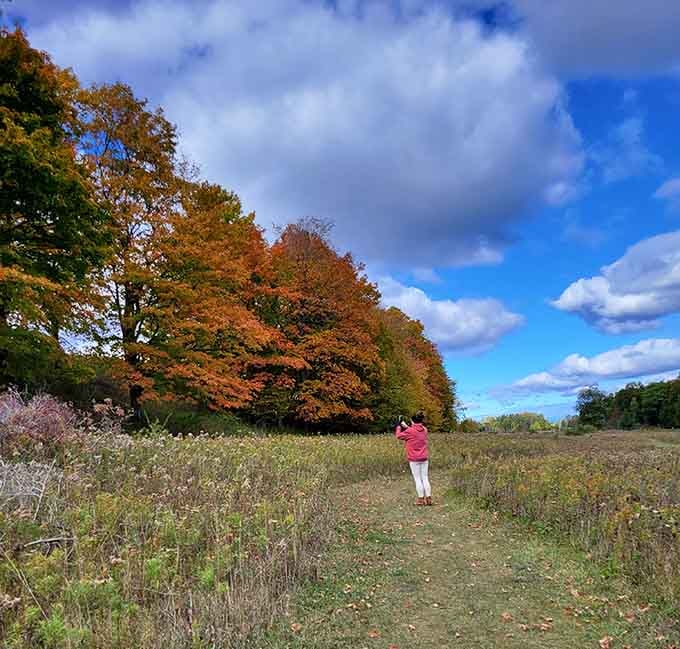 Fall at Clay Banks hits like a painting you didn't know you needed. Someone brought a camera. Smart person.