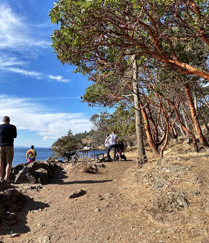 Smart visitors bring picnic tables in their minds, camping chairs in their cars, and patience in abundance.