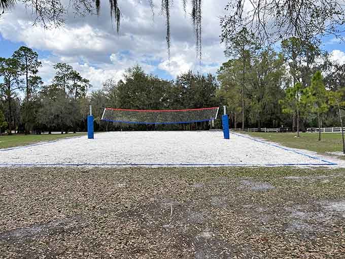 Beach volleyball courts where the only thing missing is the ocean view and overpriced parking.