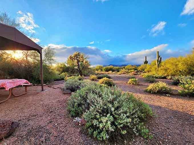 A red-checkered tablecloth, a ramada, and a desert sunset view that makes every other picnic spot feel deeply inadequate.