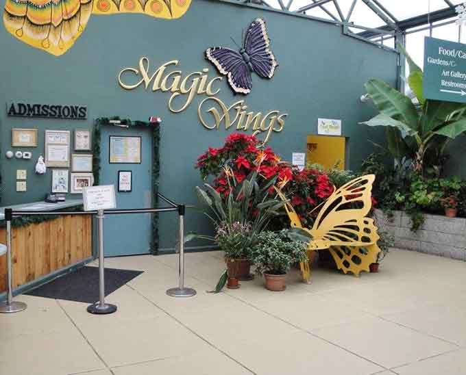 The entrance lobby sets the stage with butterfly sculptures that promise the real deal awaits inside.