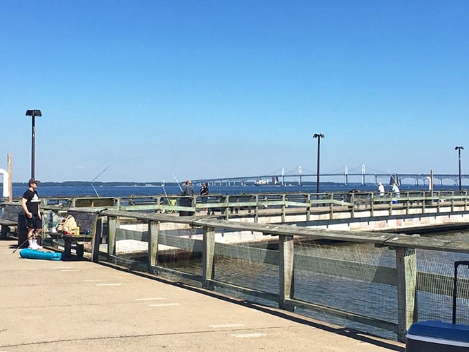 Lines in the water, Bay Bridge in the background. The Matapeake Fishing Pier delivers every single time.