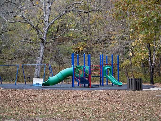 Even the playground gets the Ozark treatment, nestled among trees where kids can be gloriously, wonderfully loud.