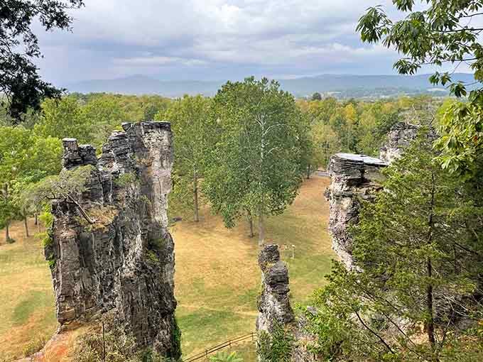 From the overlook, you see the towers from above, proving they're just as impressive from every possible angle.